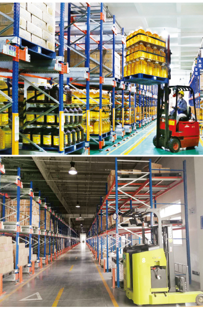 Radio Shuttle Rack Cart And Forklift (AGV) System Fully Automated Fifo ...