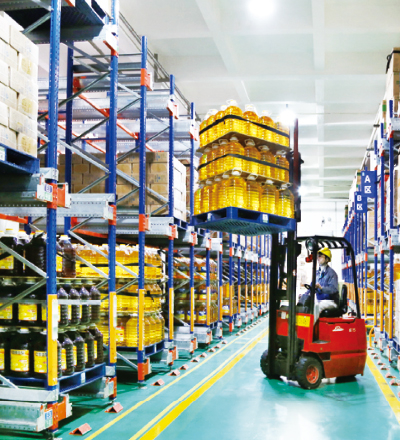 Radio Shuttle Racking Warehouse Storage Racking Pallet Runner Rack ...